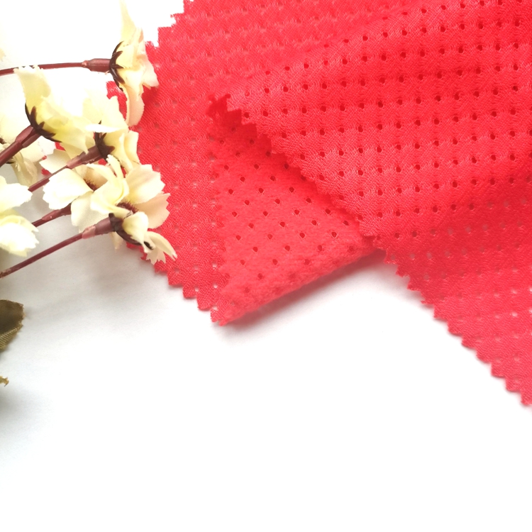 China Hot selling polyester brushed mesh fabric quick dry finish for ...